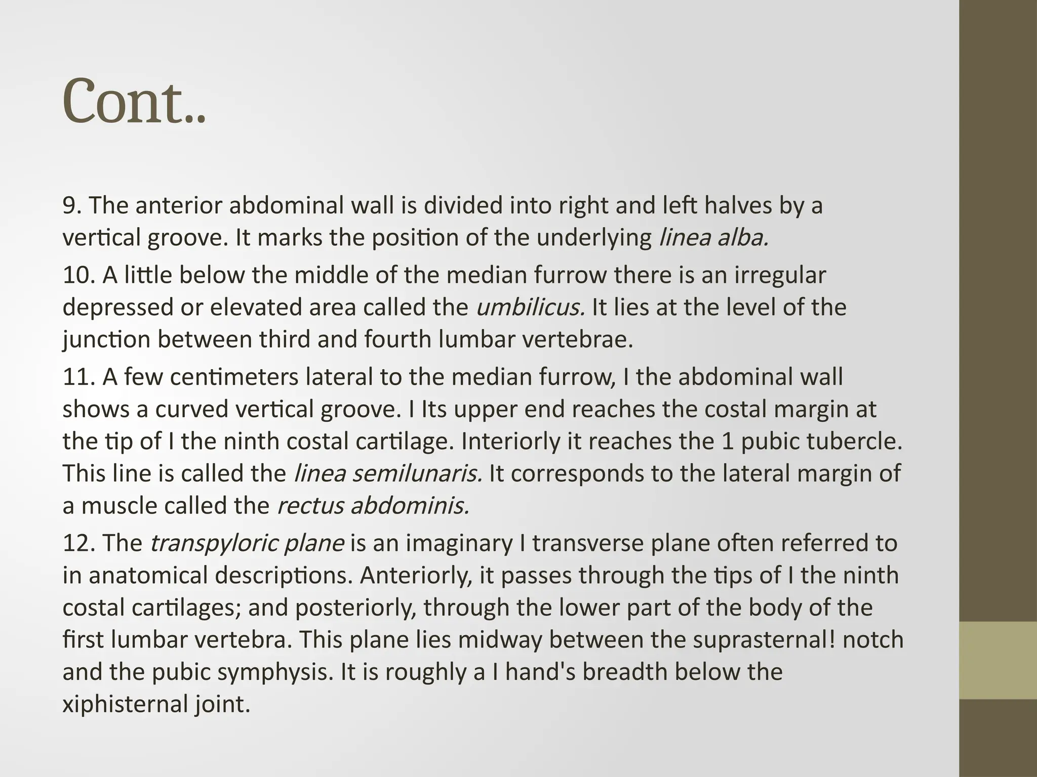 Abdomen chapter Anatomy Muscles of Abdomen | PPTX