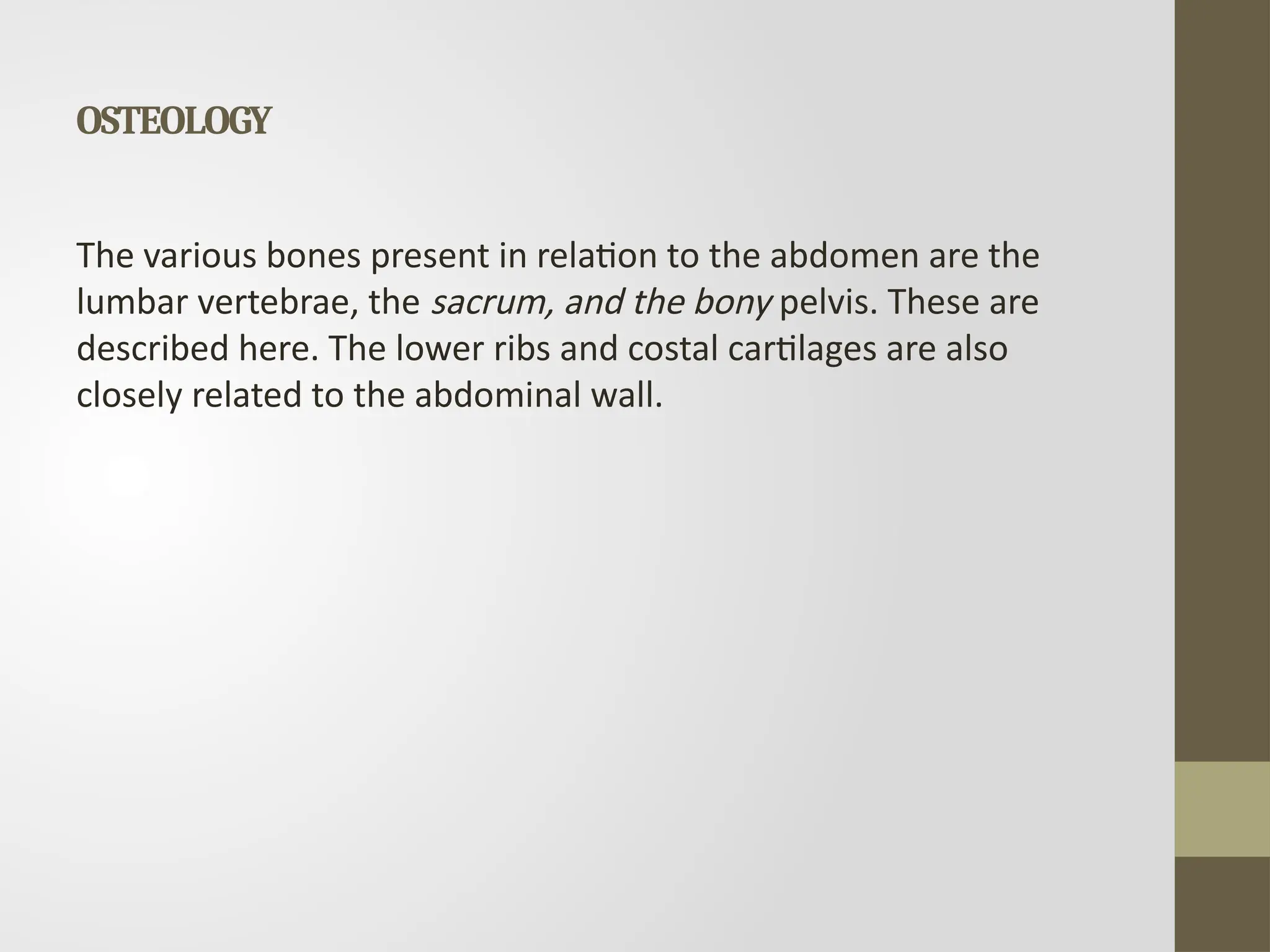Abdomen chapter Anatomy Muscles of Abdomen | PPTX