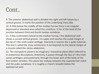 Abdomen chapter Anatomy Muscles of Abdomen | PPTX