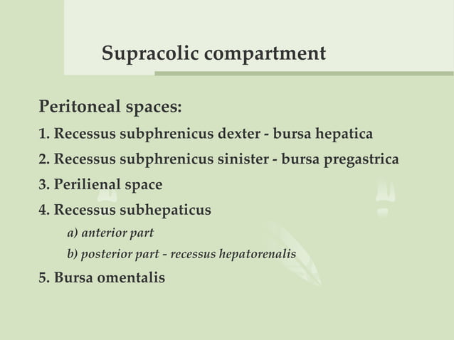 Abdomen_engl.powerpointmohamed lahai marrah | PPT