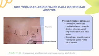 Esrudio de ABDOMEN, tanto técnicas, como abordaje | PDF