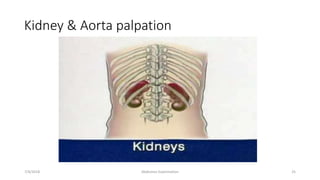 Abdomen examination.pptx