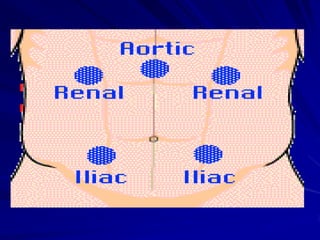 Abdomen examination ms 2021 | PDF