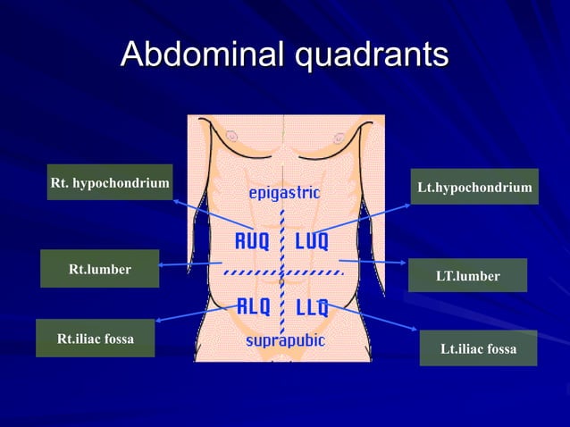 Abdomen examination ms 2021 | PDF