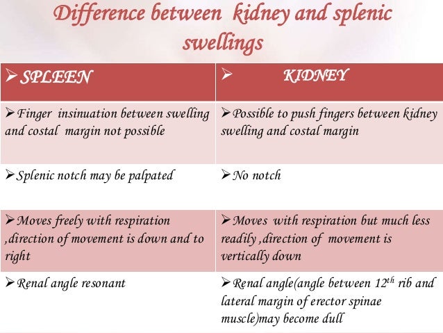 Abdomen examination paeds