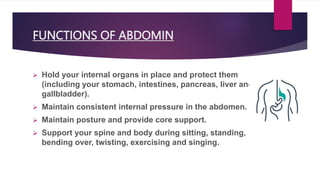 ABDOMEN MUSCLE& MUSCLE OF LOWER EXTREMITIES.1.pptx