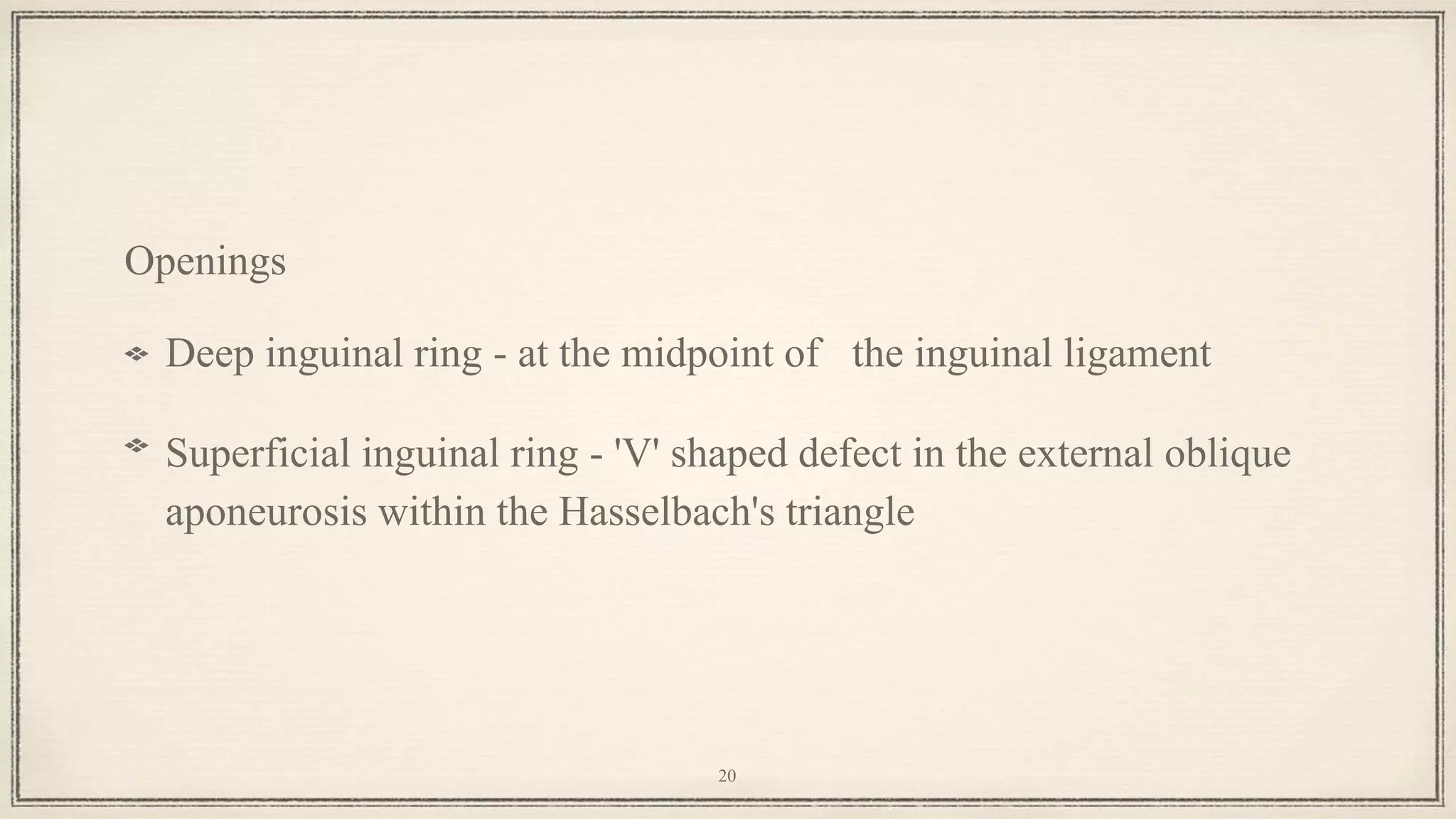 ABDOMEN MUSCLES | PPTX