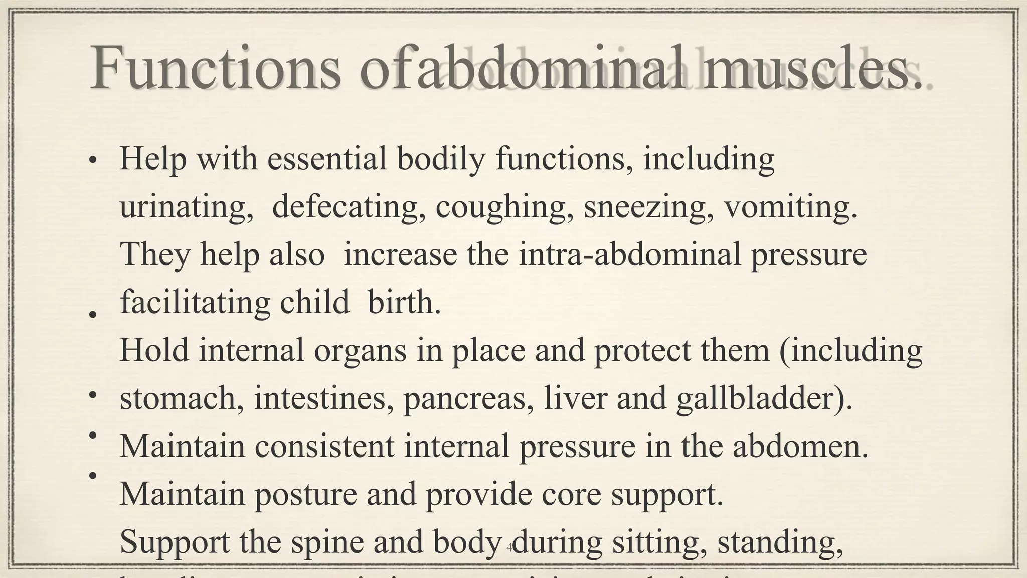 ABDOMEN MUSCLES | PPTX