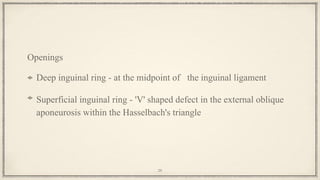 ABDOMEN MUSCLES | PPTX