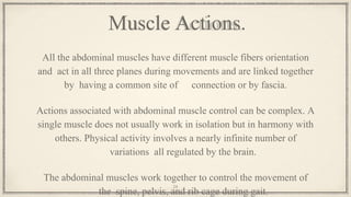 ABDOMEN MUSCLES | PPTX