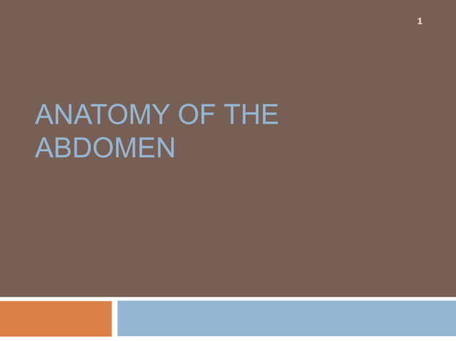 abdomen_New1.ppt