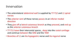 Abdomen part 1 | PPT
