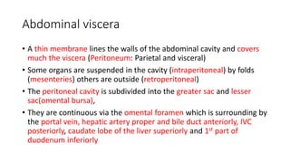 Abdomen part 1 | PPT