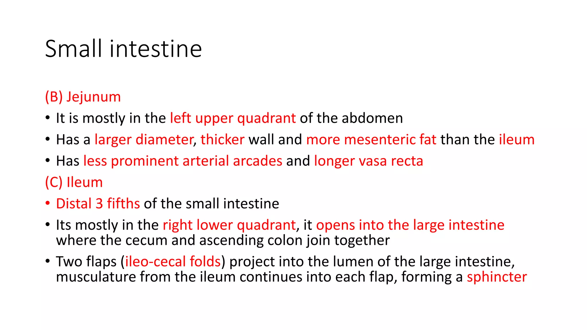Abdomen part 2 | PPTX