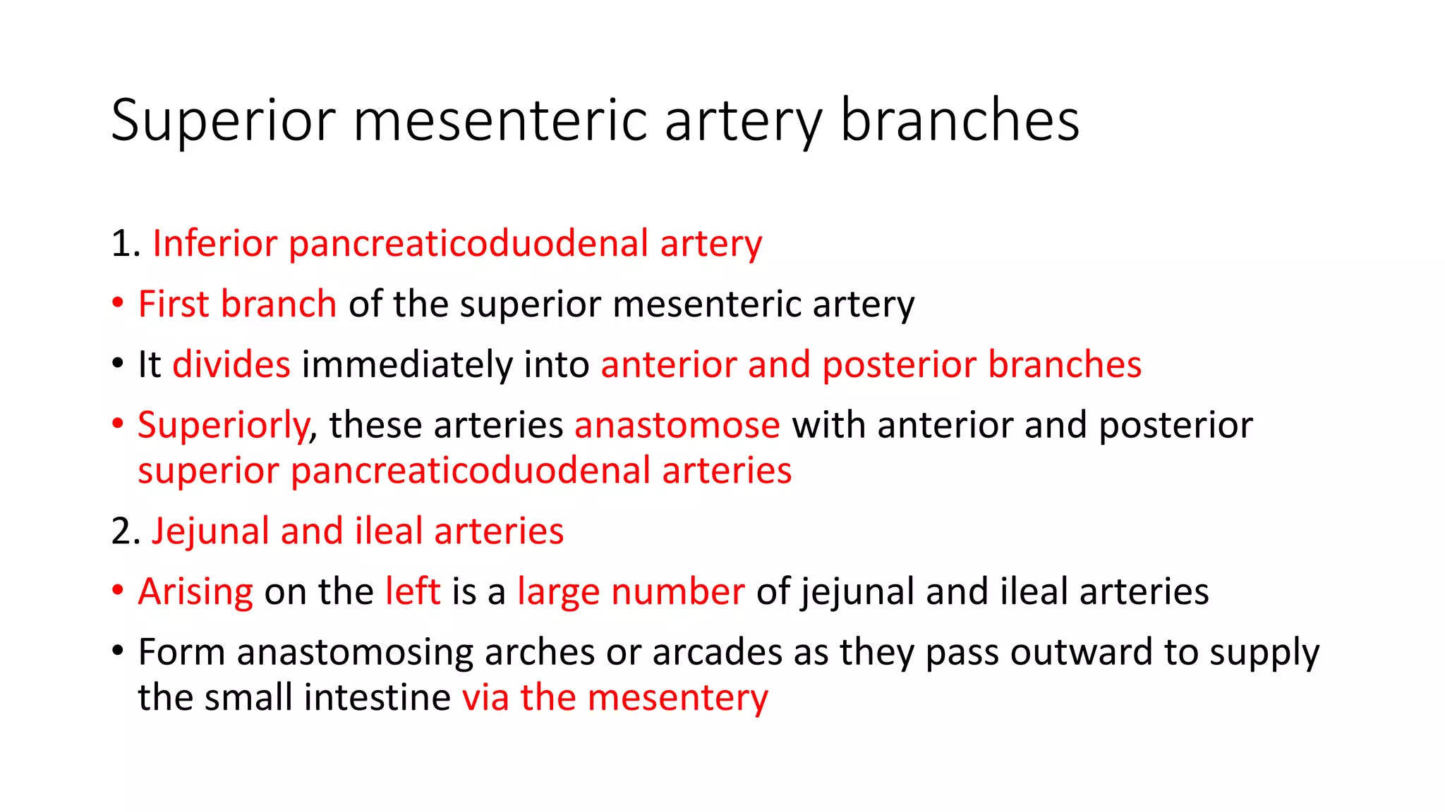 Abdomen part 3 | PPTX