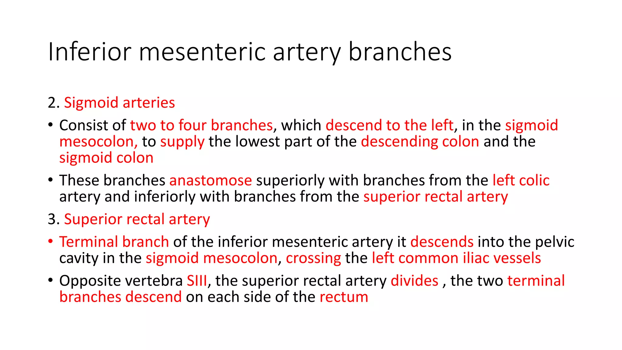 Abdomen part 3 | PPTX