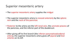 Abdomen part 3 | PPTX