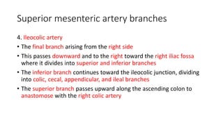 Abdomen part 3 | PPTX
