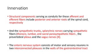 Abdomen part 3 | PPTX