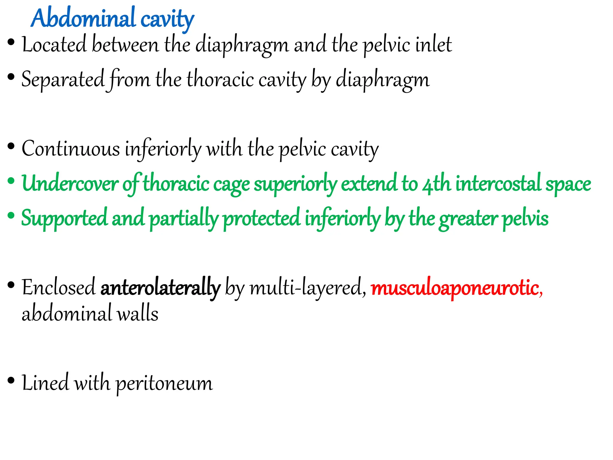 Anatomy of abdomen to medicine and health student | PPTX