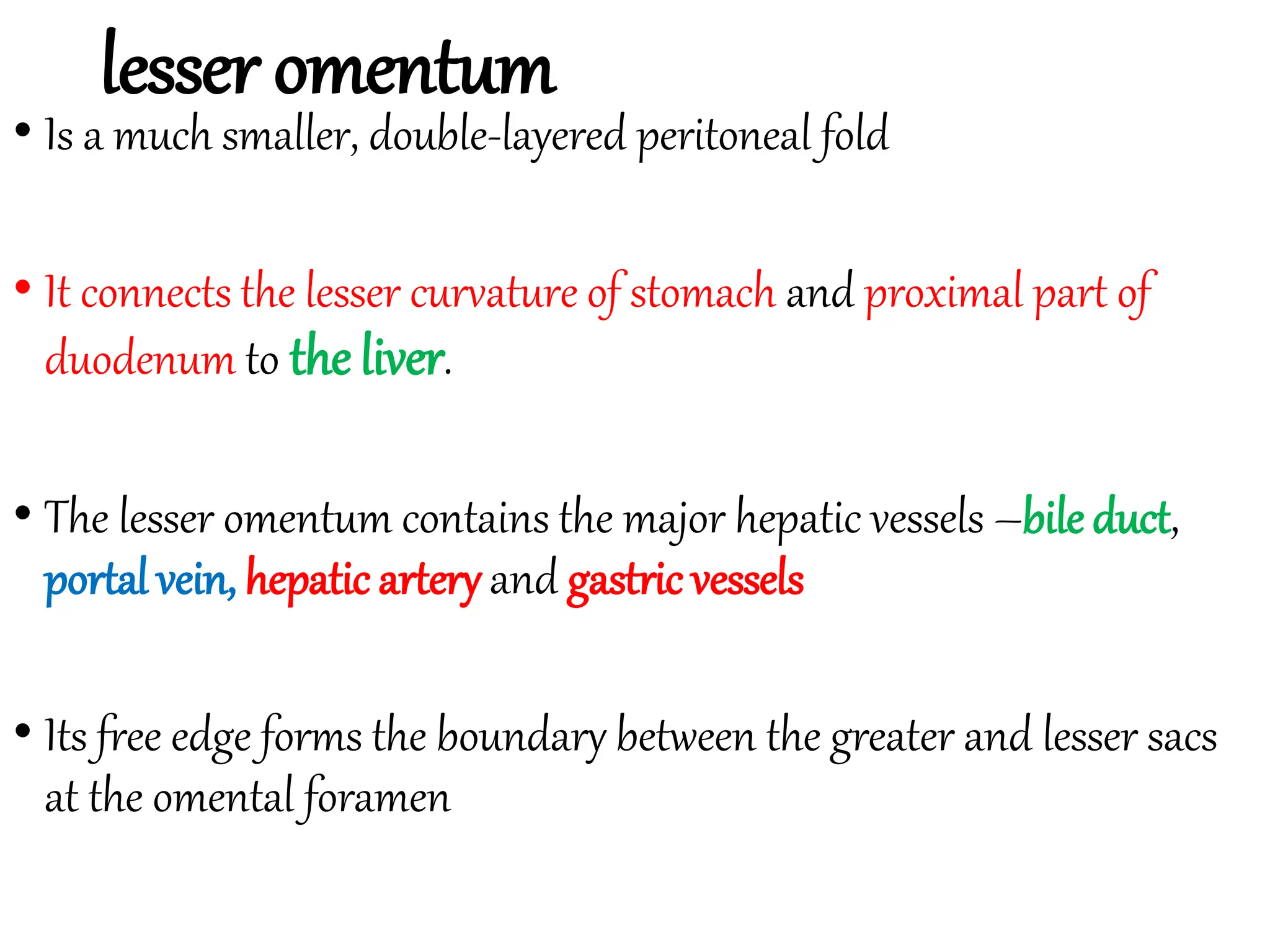 Anatomy of abdomen to medicine and health student | PPTX