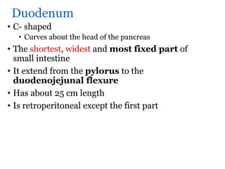 Anatomy of abdomen to medicine and health student | PPTX