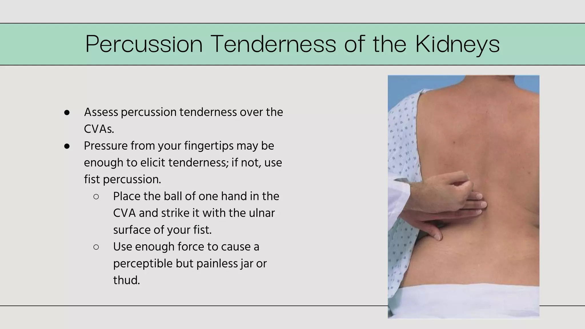 abdomen PE.pptx | Digestive Disorders | Diseases and Conditions