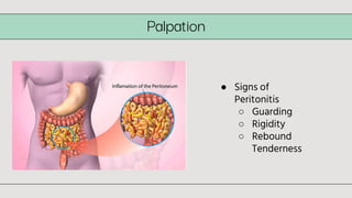 abdomen PE.pptx