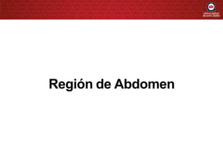 Abdomen, Pélvis y Miembro Inferior para Anatomía Humana | PDF