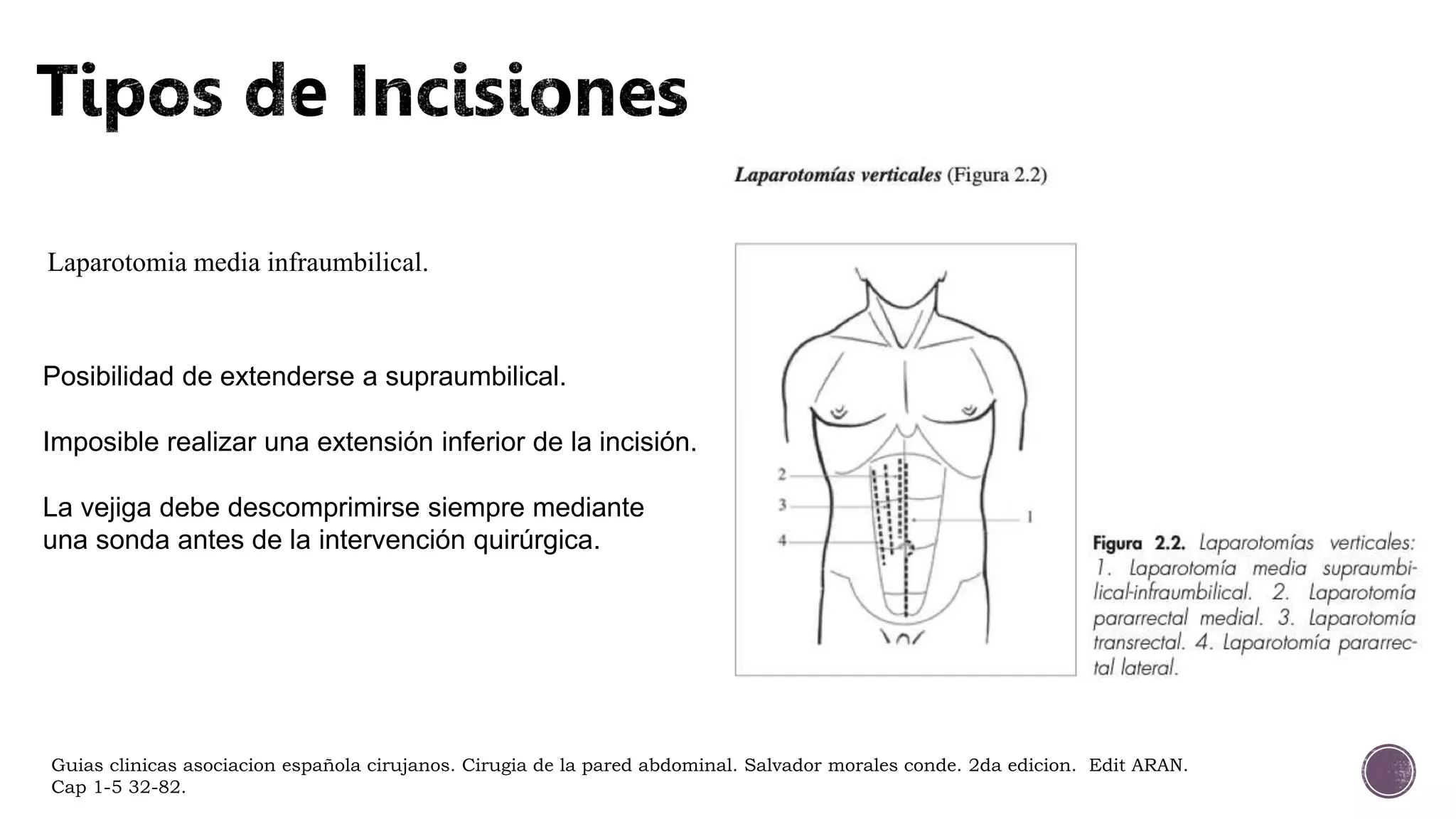 ABDOMEN POSTERIOR.pptx | Bone and Joint Conditions | Diseases and ...