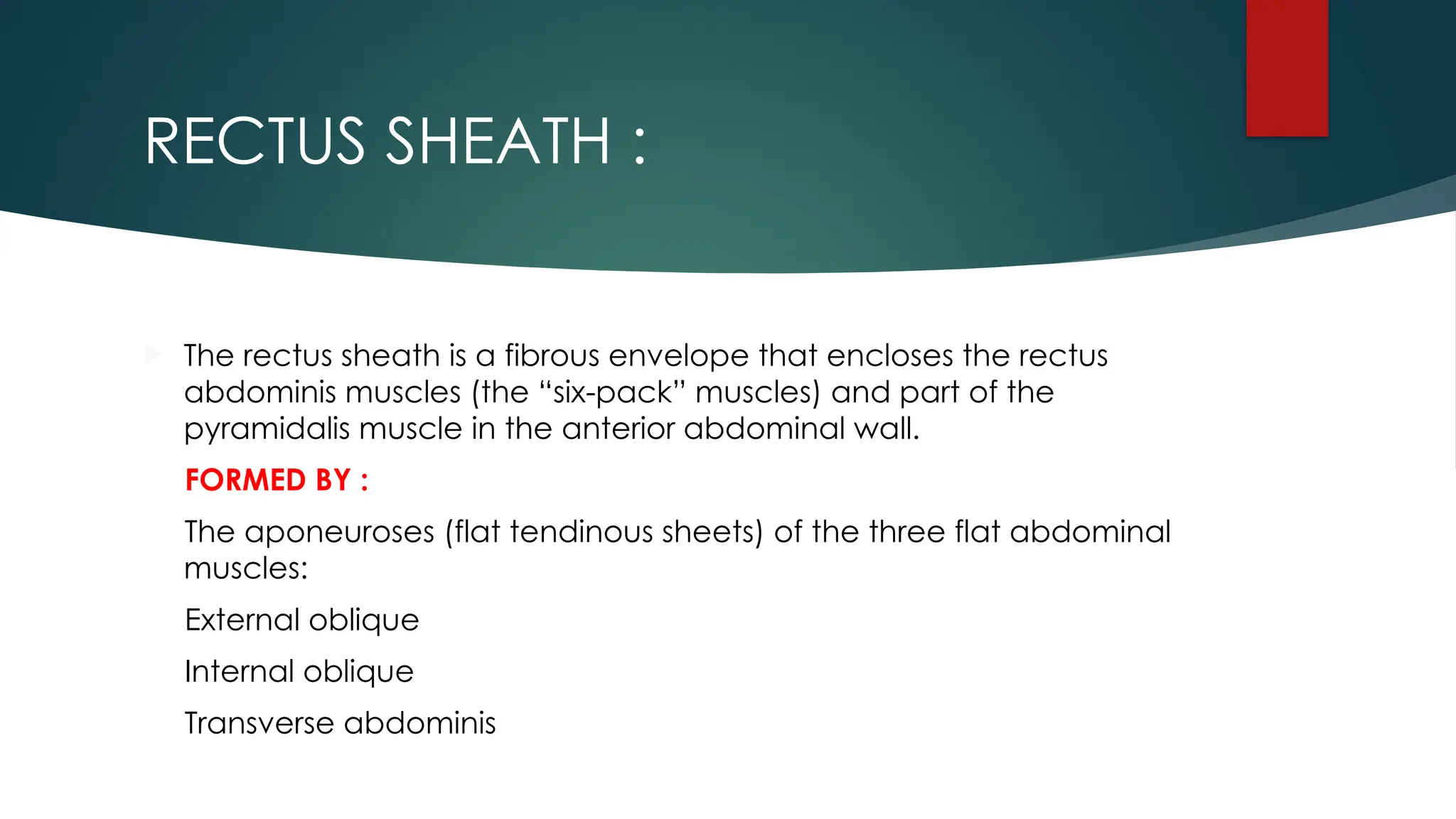 abdomen presentation containing all brief knowledge | PPTX