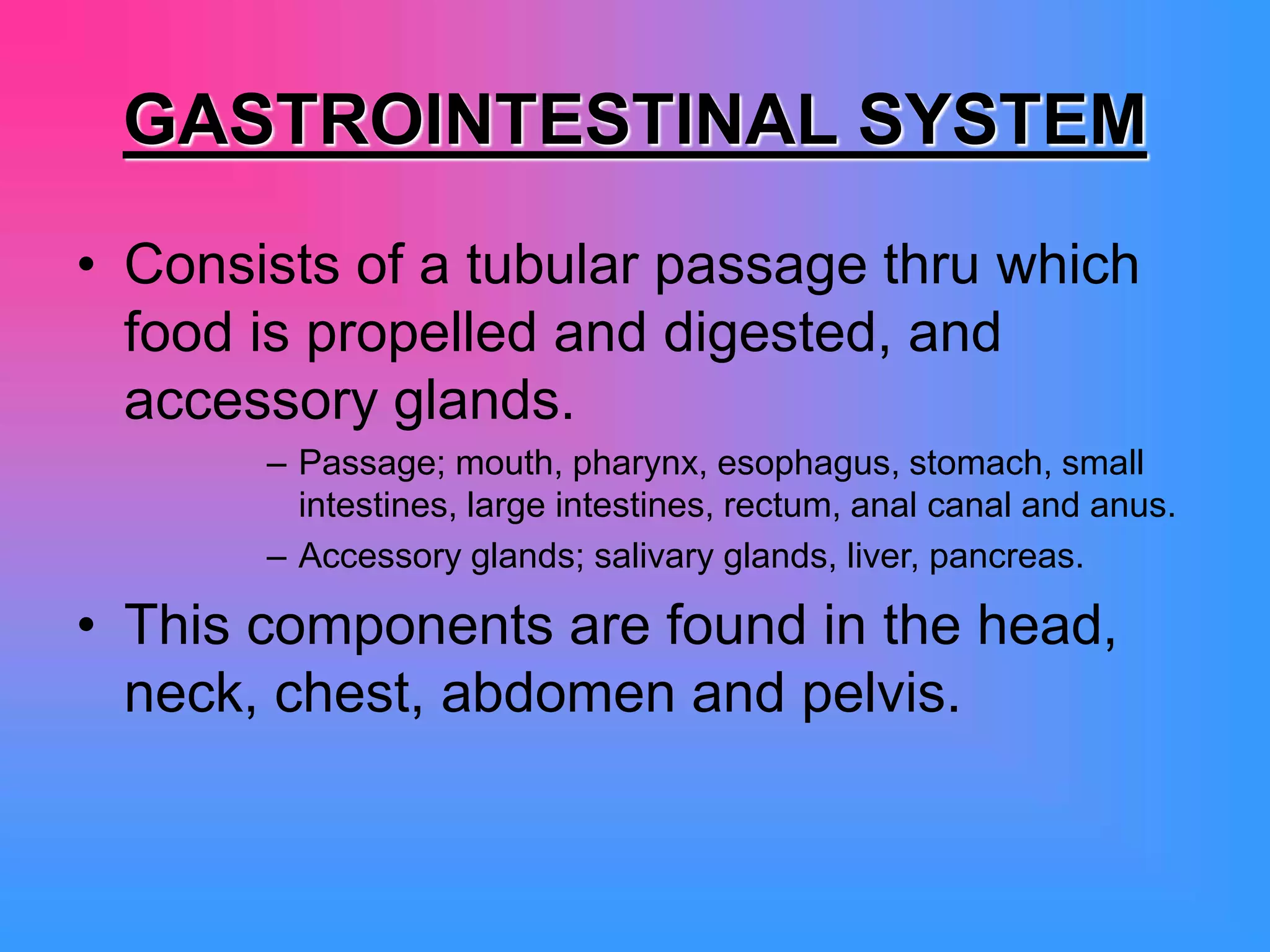 Abdomen Presentation anat.ppt