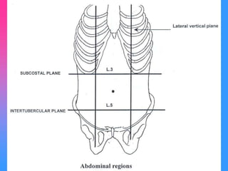 Intertubercular Plane