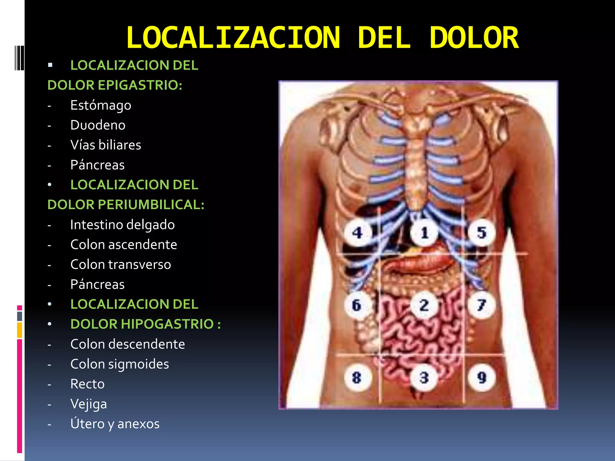 Abdomen quirúrgico | PPT