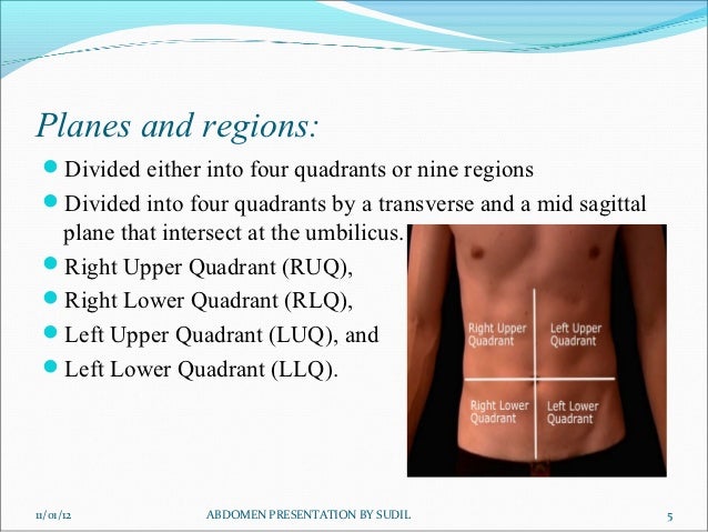 What Are The Four Quadrants Of The Abdomen First Aid Abdominal Pain