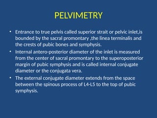 Abdomen Radiography and Pelvimetry - Poj | PPTX