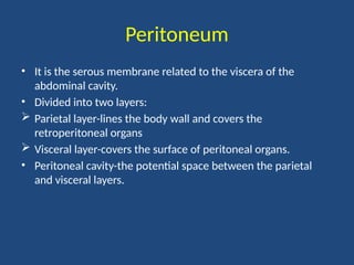 Abdomen Radiography and Pelvimetry - Poj | PPTX
