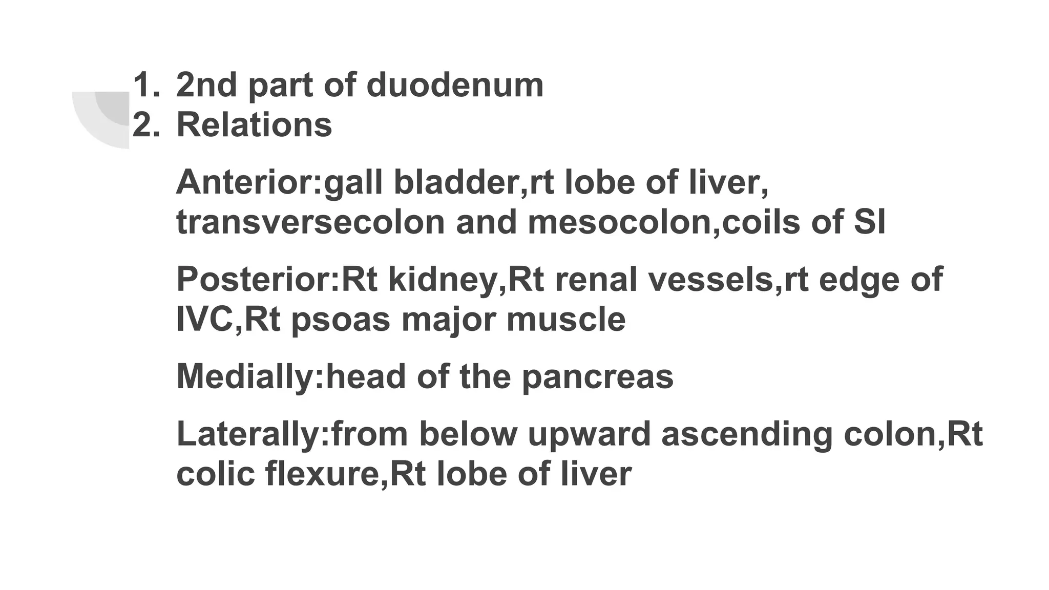 ABDOMEN ANATOMY SPOTTERS REVISION FOR FIRST MBBS.pptx