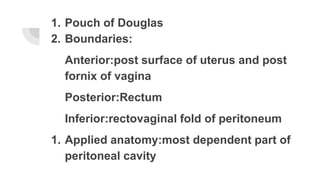 ABDOMEN ANATOMY SPOTTERS REVISION FOR FIRST MBBS.pptx