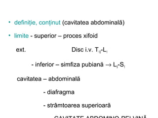 Abdomenul generalitati | PPT
