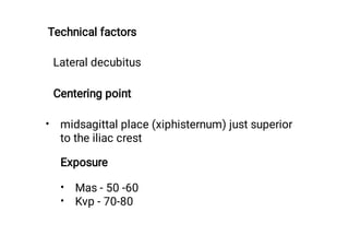 abdomen and kub radiology anatomy xray view.pdf