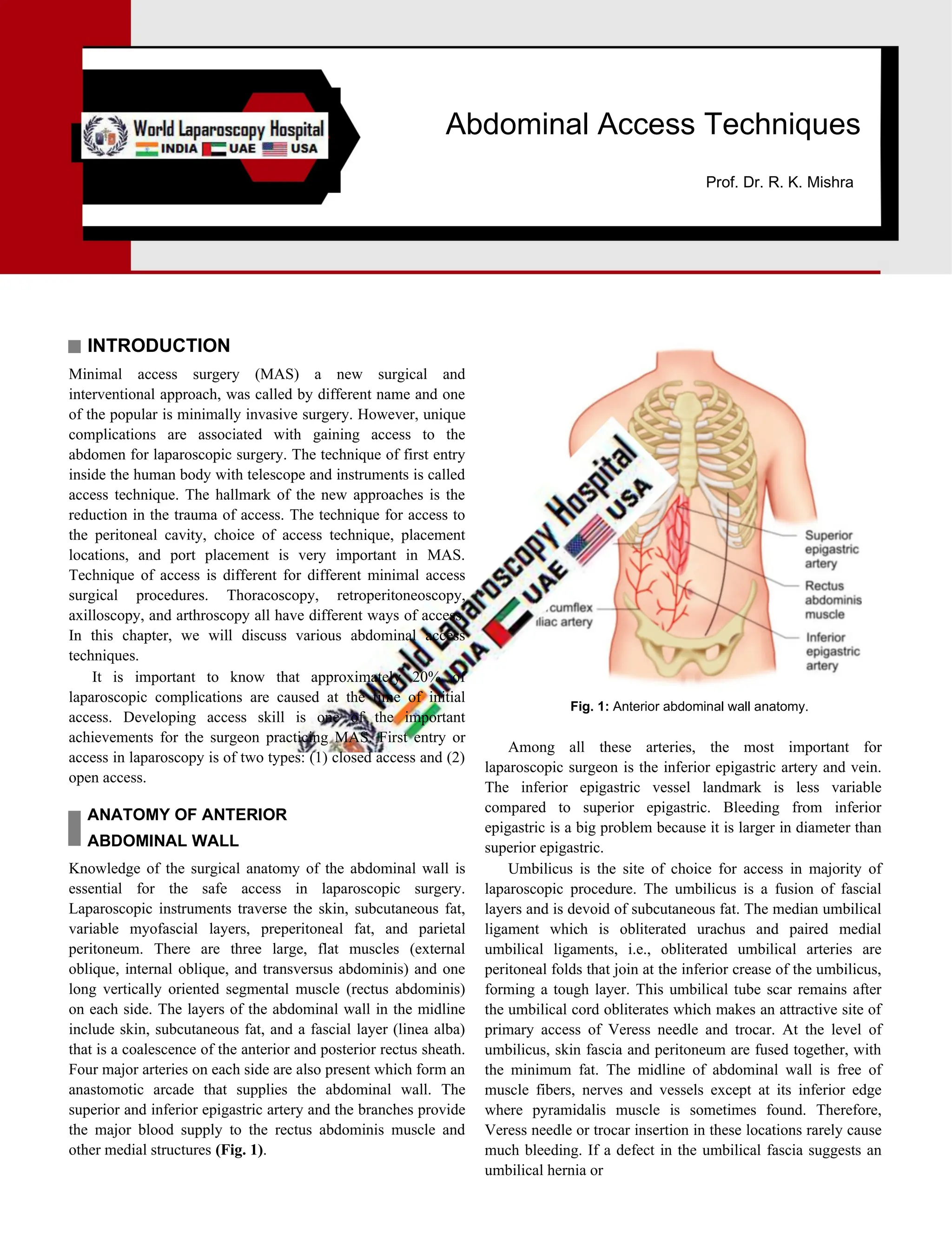 Abdominal Access Techniques at world laparoscopy hospital | DOC