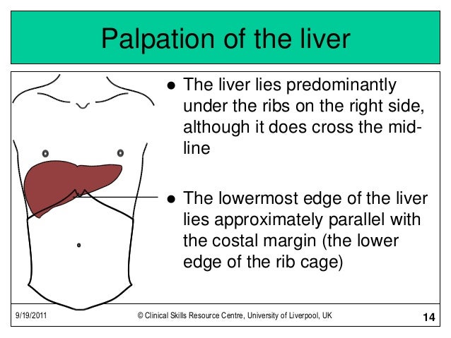 Abdominal Exam