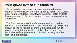 ABDOMINAL-EXAMINATION report in m106 in midwifery.pptx