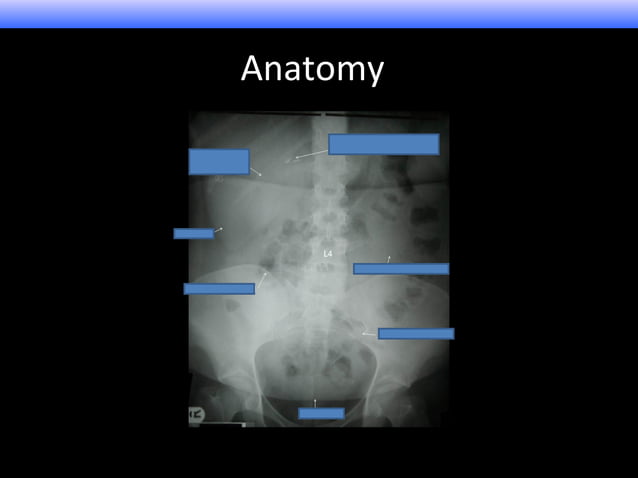 Abdominal Imaging Lecture | PPT