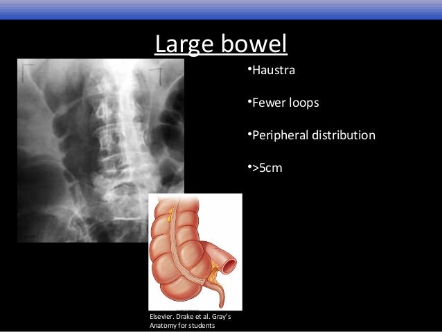 Abdominal Imaging Lecture