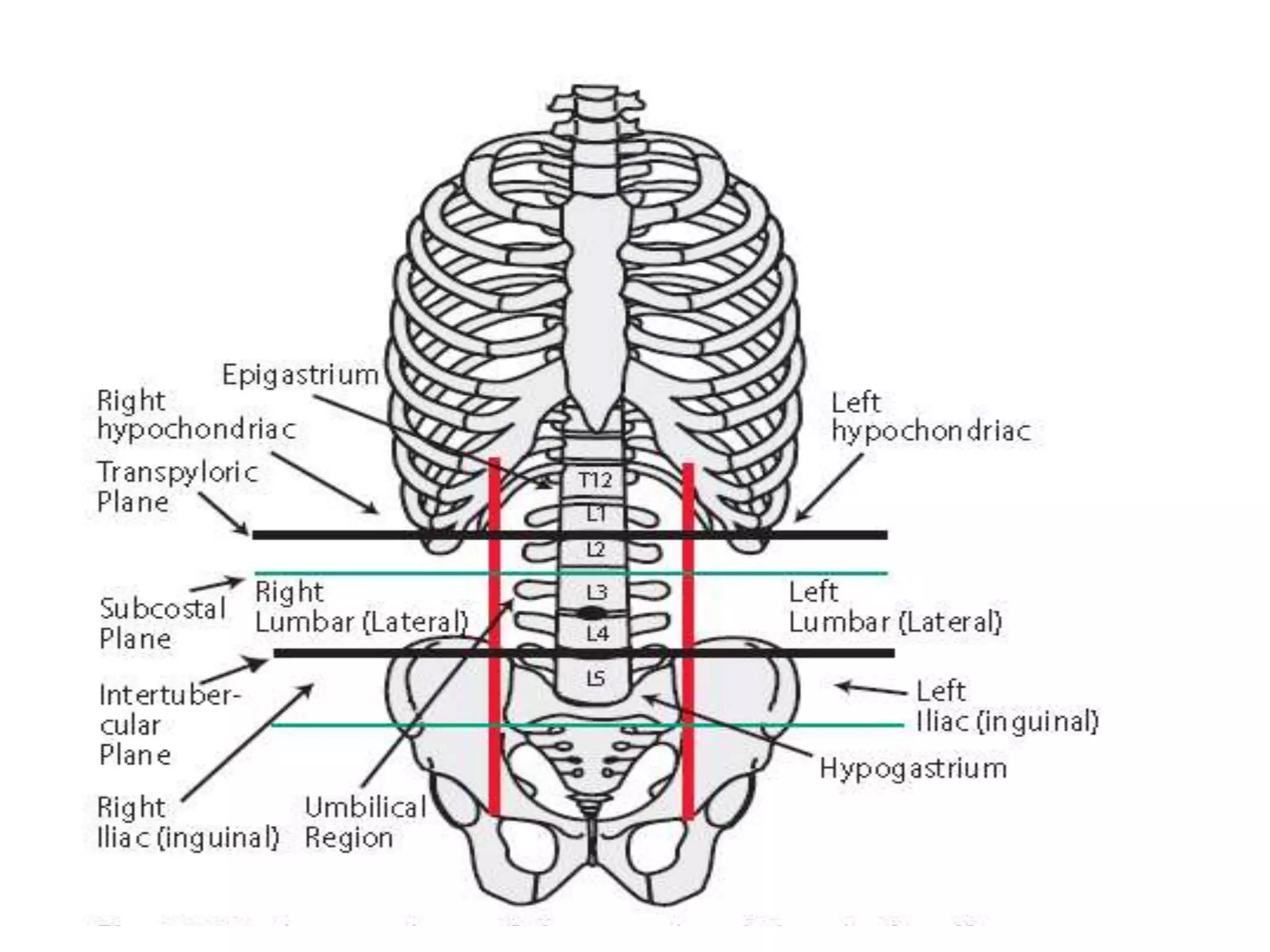 Abdominal access presentation | PPTX