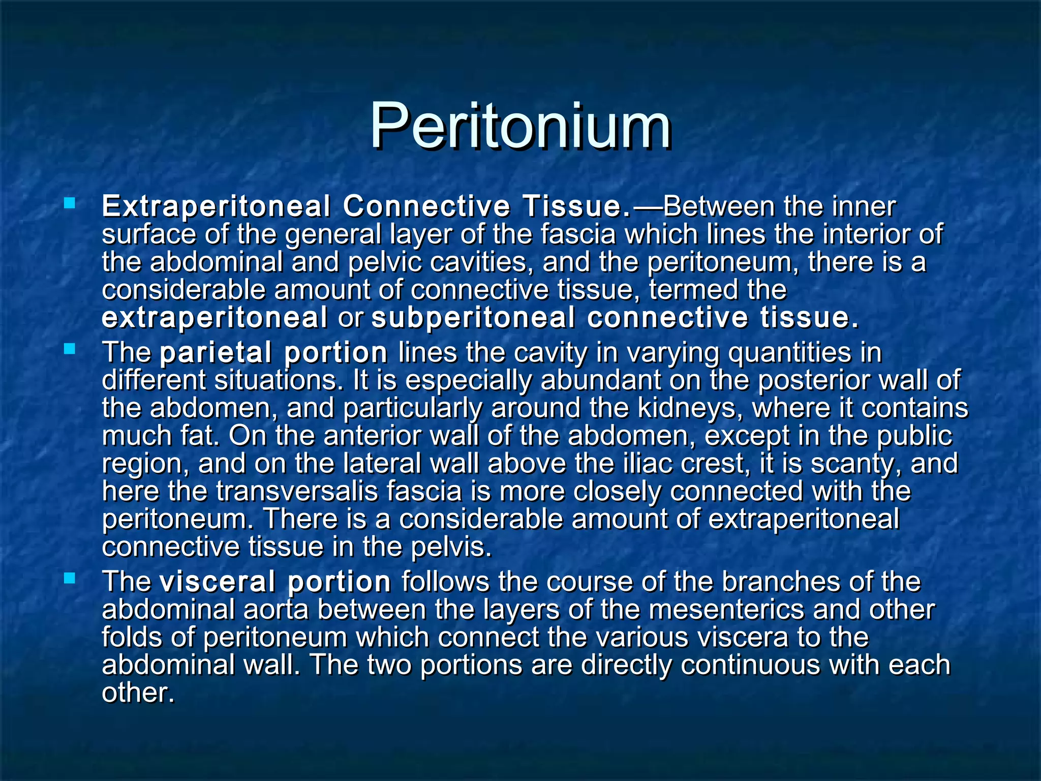Abdominal anatomy | PPT