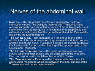 Abdominal anatomy | PPT