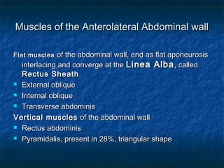 Abdominal anatomy | PPT